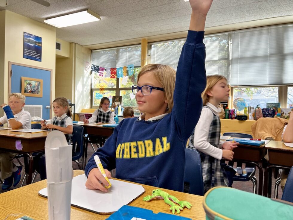 Catholic School Student Performance | School of the Cathedral